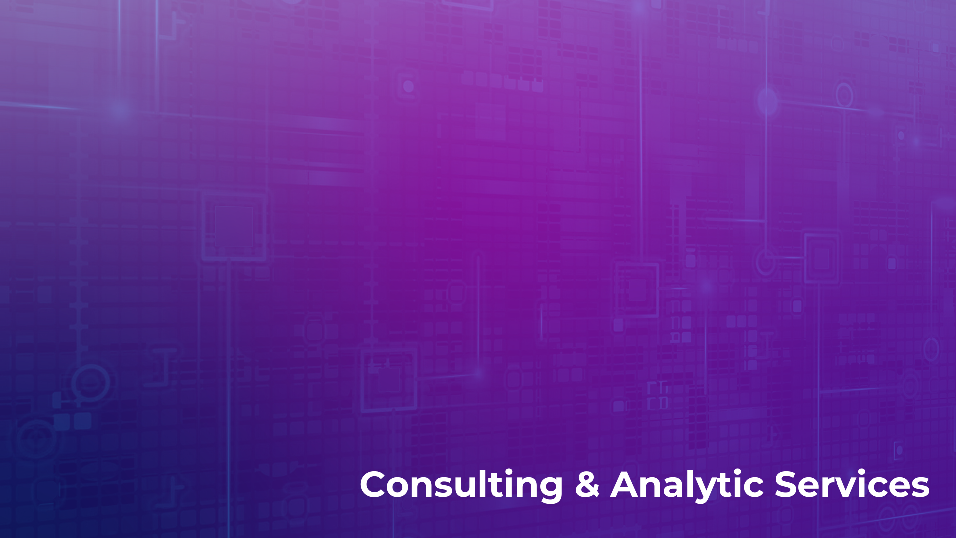 Consulting & Analytic Services